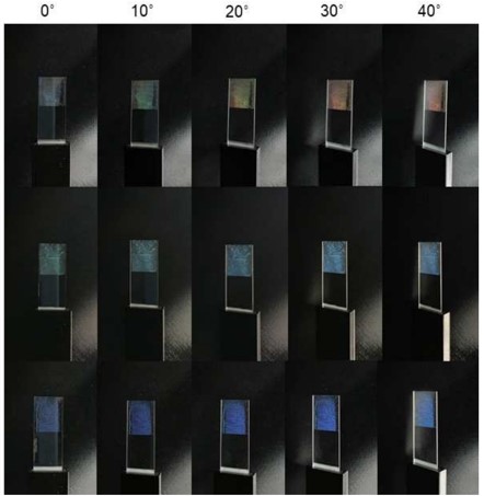 Structural Coloration – ASCENT